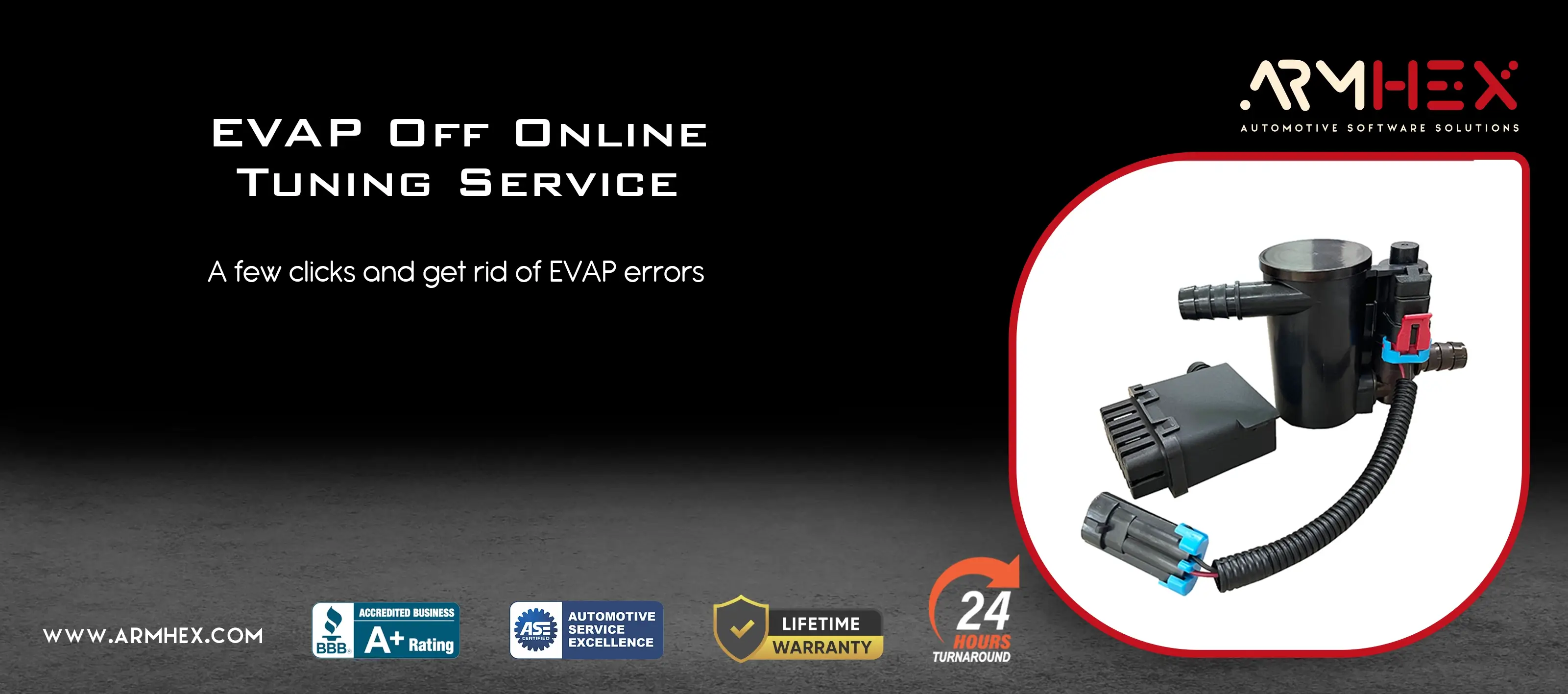 BMW Other BMW Models SIEMENS MSV81 EVAP Off Online File Service | ARMHEX