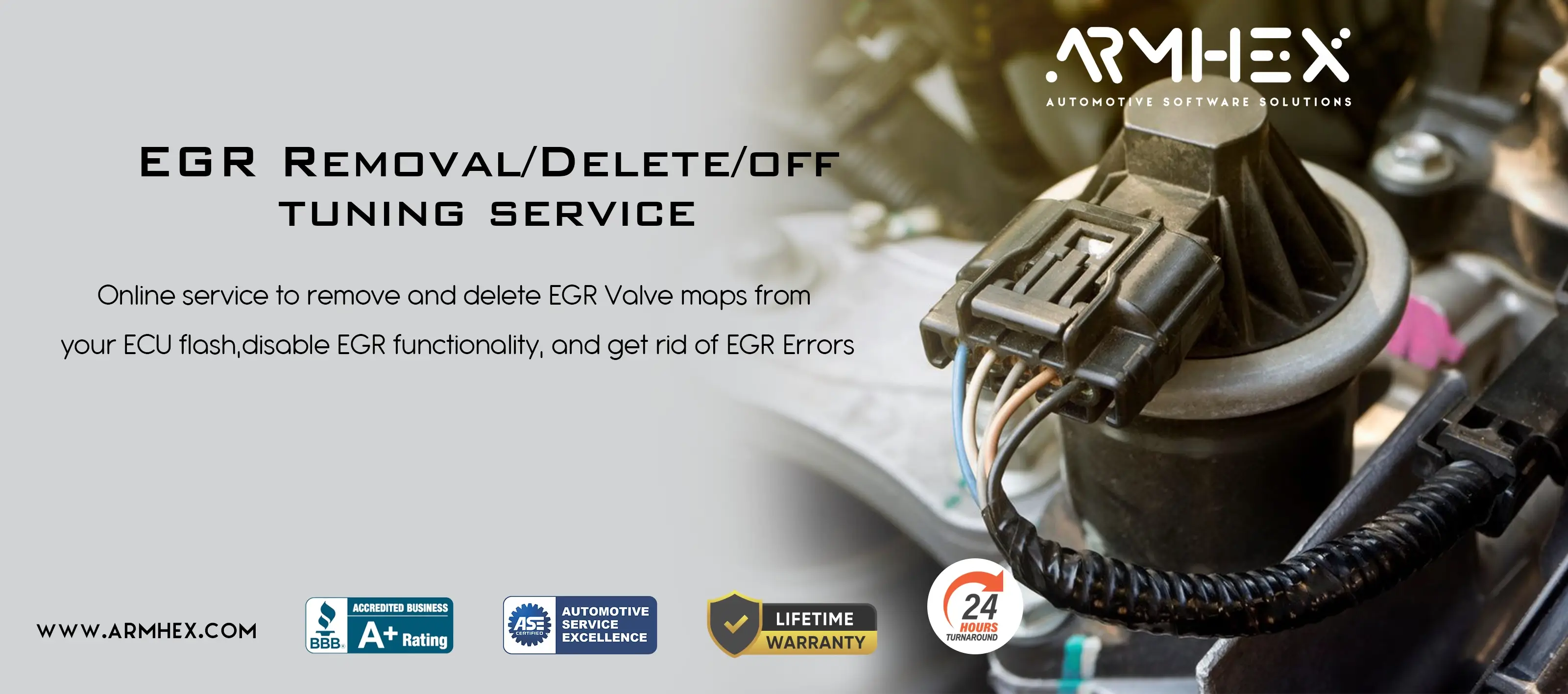 EGR Delete Online Service | ARMHEX